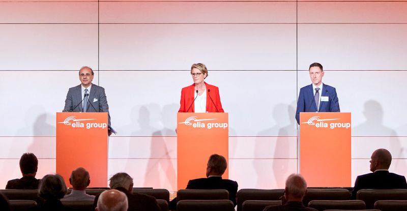 Bernard Gustin to become new CEO of Belgian power grid operator Elia ...